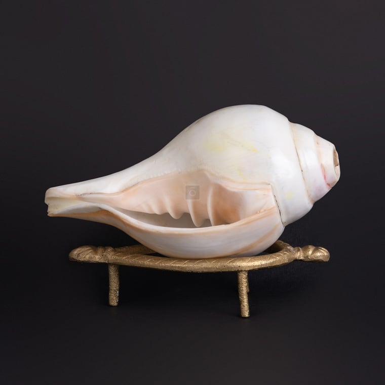 A Sankha in a bronze tripod - Photos Nepal